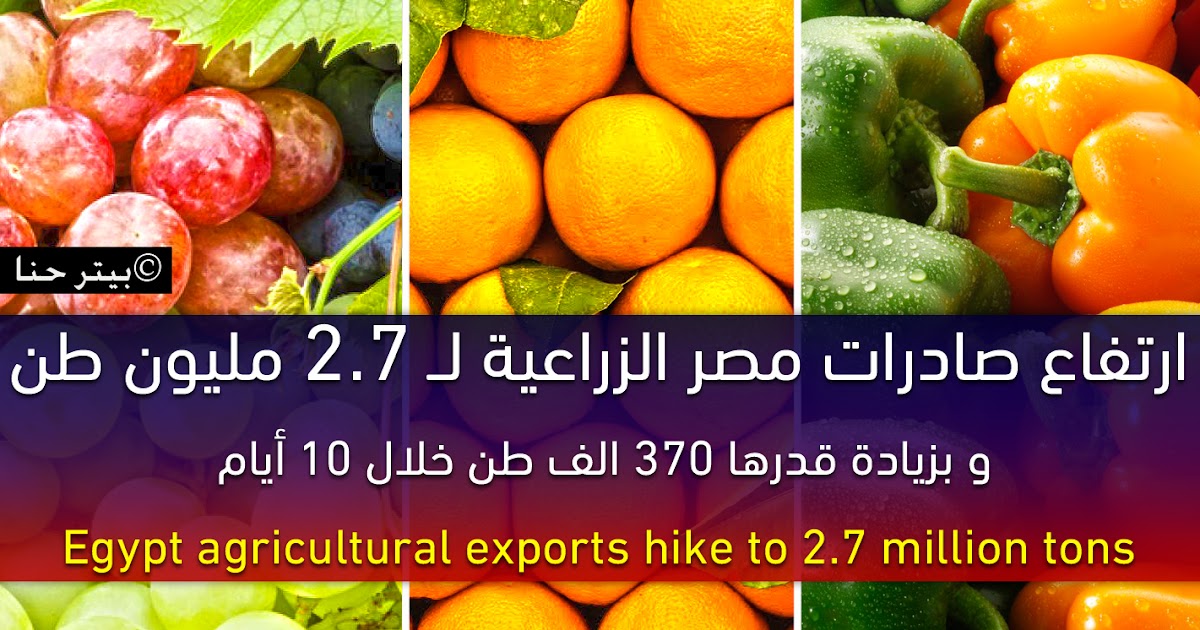 ارتفاع صادرات مصر الزراعية لــ 2 7 مليون طن و بزيادة قدرها 370 الف طن