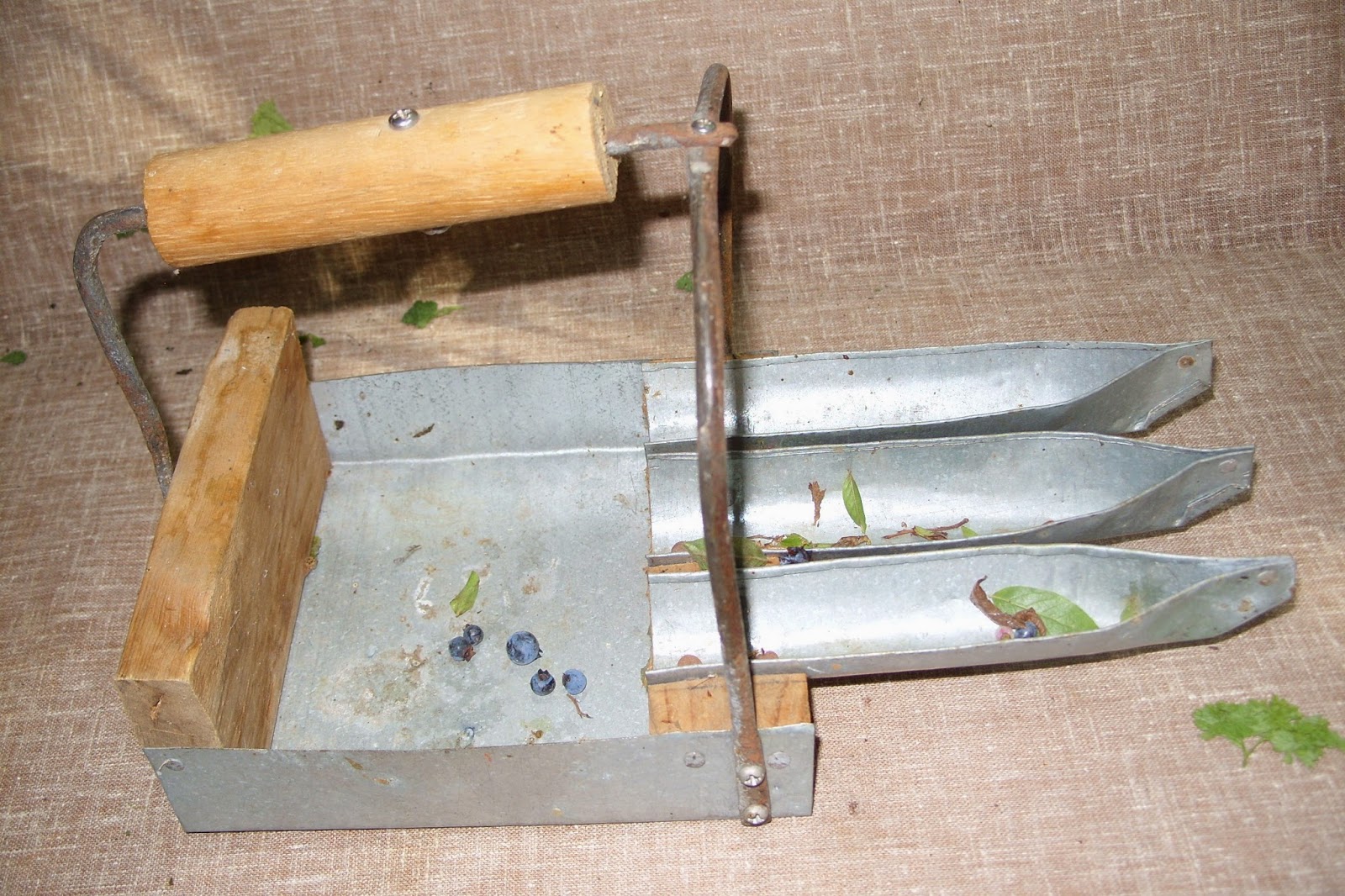 Forest House Farm: DIY BERRY RAKES