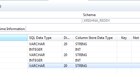Creation of dynamic filters in SAP HANA Schema