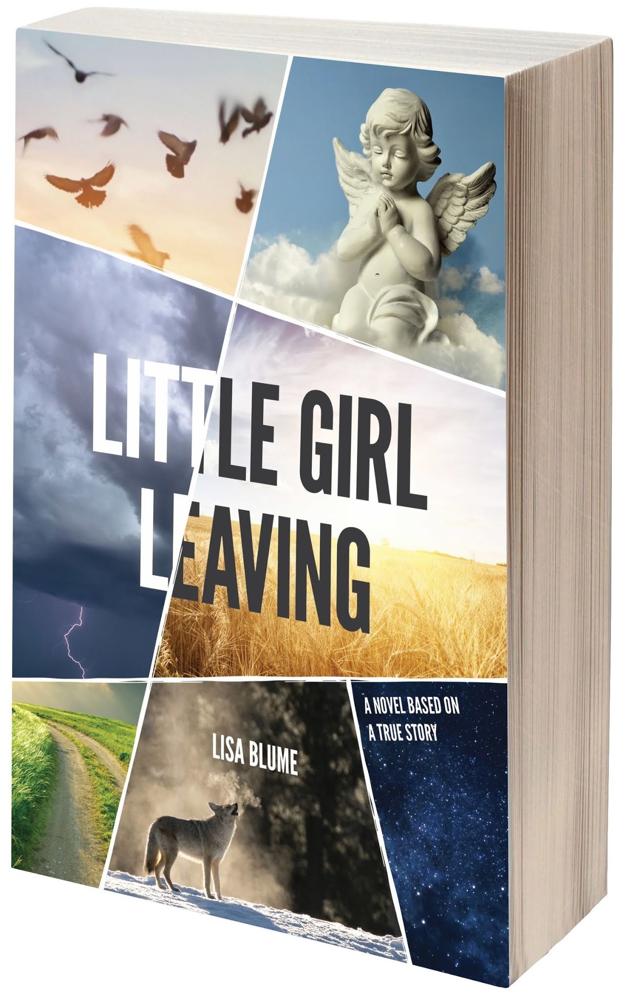 Lisa Blume Releases a Fiction Book