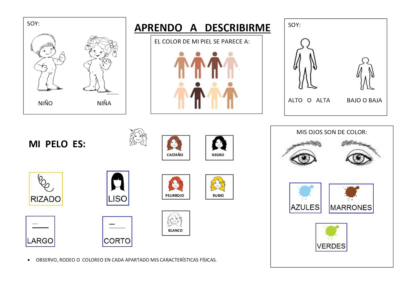 2º DE INFANTIL: APRENDO A DESCRIBIRME
