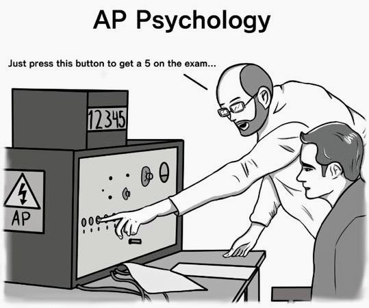AP Psychology AHS ap-psychology-ahs