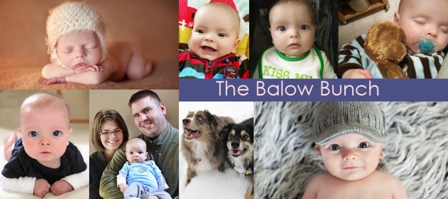The Balow Bunch: Baby Bumps