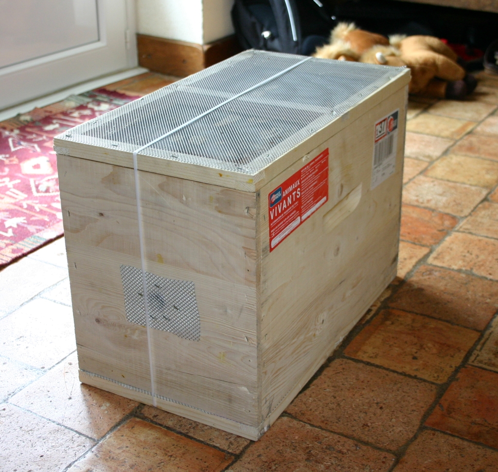 Mes abeilles en Touraine: 1 - Arrivée des abeilles.