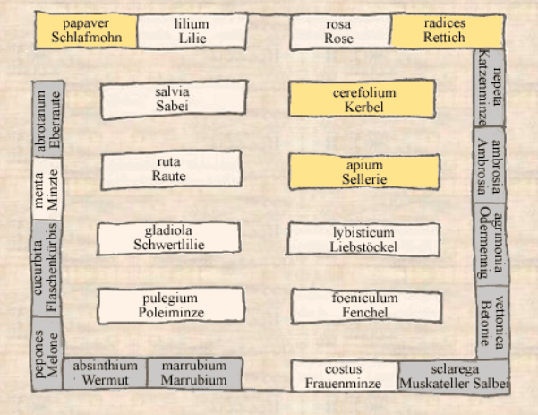 Hortulus des Walahfried - Bergblumengarten