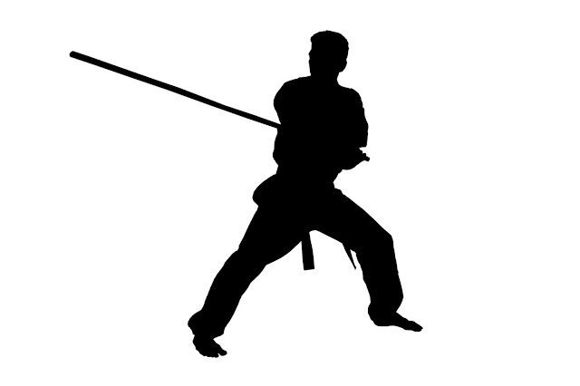Panchabootha International Martial Arts Academy: Silambam Clipart , vector