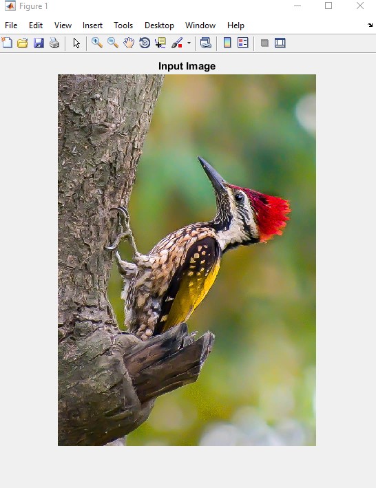 Min Filtering in Image Processing using Matlab with code - MATLAB Programming