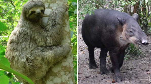 NephiCode: October 2016