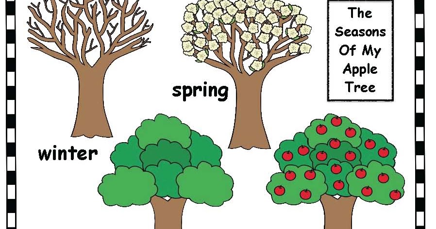 Classroom Freebies: Seasons of my Apple Tree