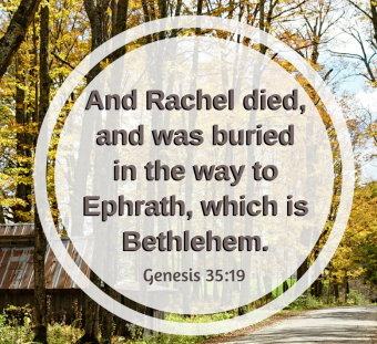 Walking in the Light : Genesis 34 - 36