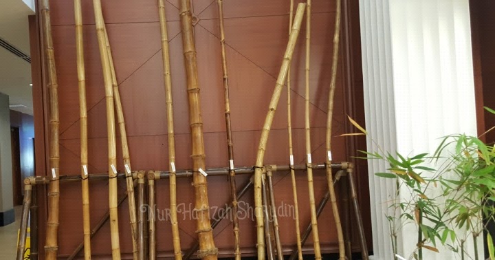 Nur Hafizah Sharudin's Blog: POTENSI TANAMAN BULUH DI MALAYSIA