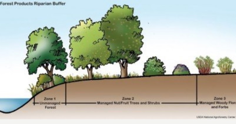 PA Environment Digest Blog: Multifunctional Riparian Forest Buffers ...