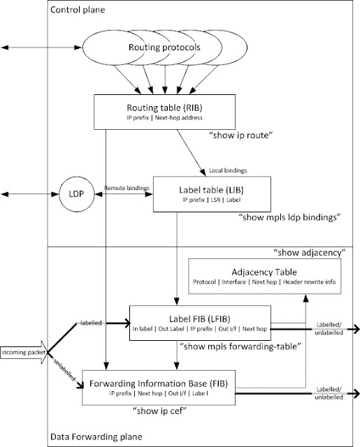 A study about MPLS label - The Network DNA