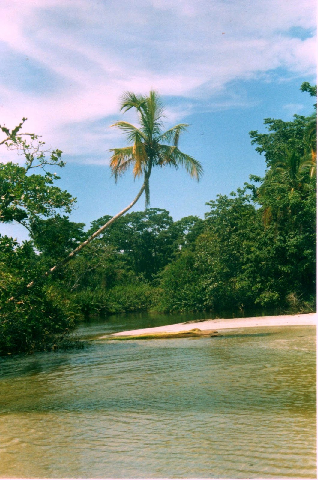 RETRATOS DEL MUNDO: Mi viaje a Costa Rica.2002.