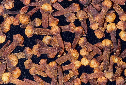 herbal leaves, herbal medicine plants and treatments: Cloves (bawang in ...