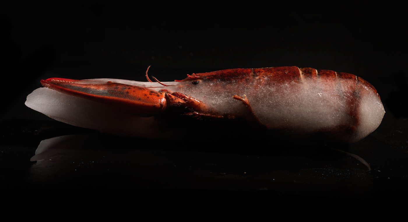 Master Lobster – Packaging Of The World