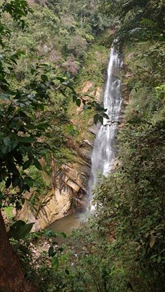 Tarapoto: CATARATAS DE HUAJA