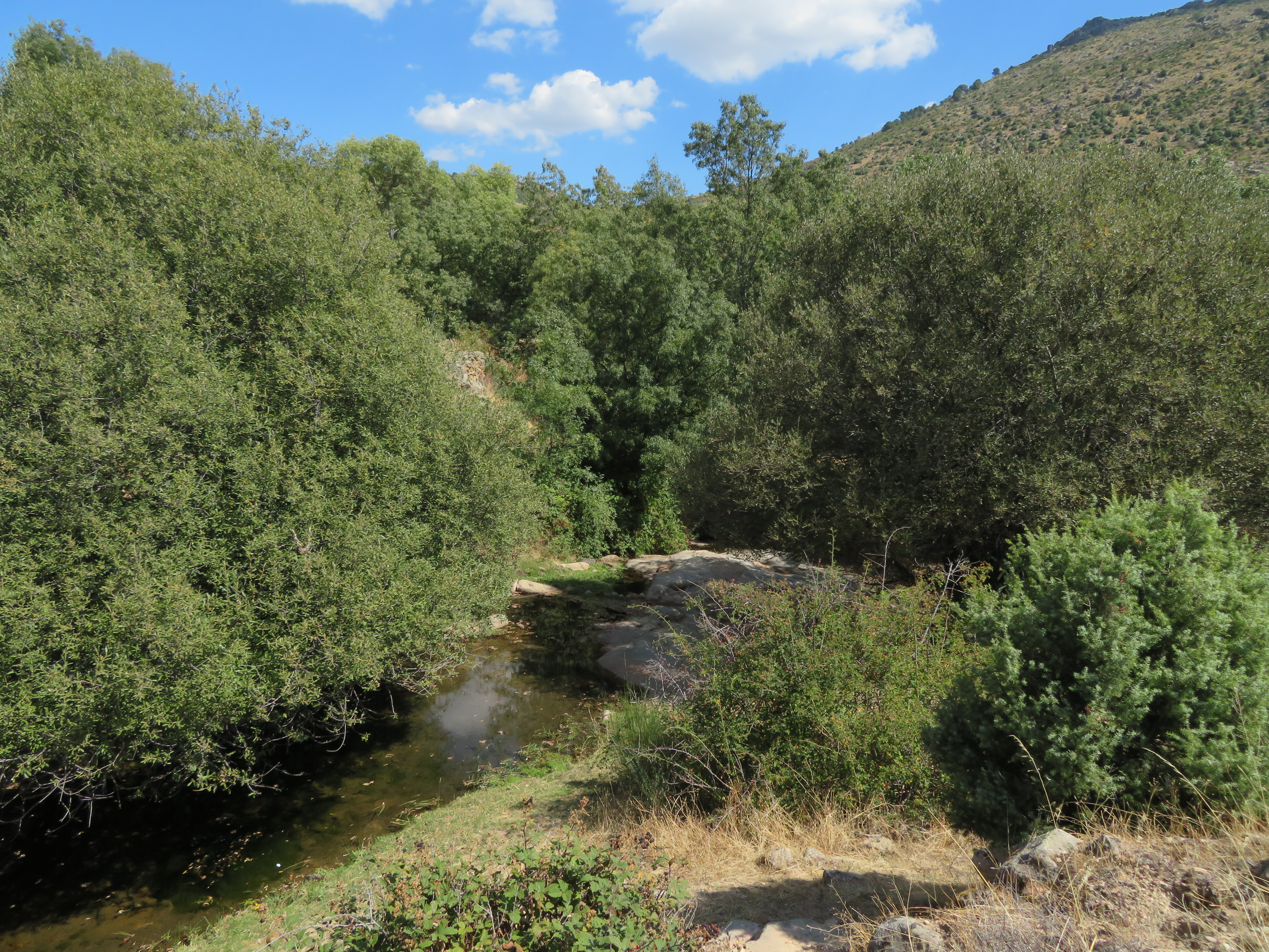 Ateneo de Robledo Antoniorrobles: PONGAMOS ROBLEDO EN VALOR (15 ...