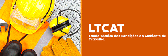 Person Vieira: O que é LTCAT
