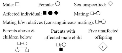 Principles of Inheritance and Variation - Notes | Class 12 | Part 7 ...