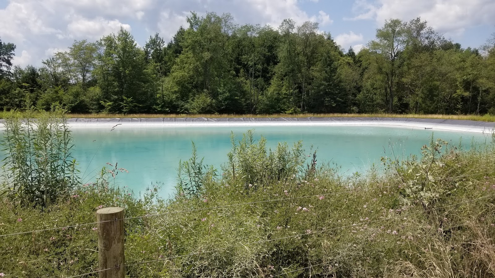 Valley Girl Views: Fall Brook Acid Mine Treatment Ponds