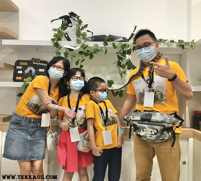 Fun Hour at Entopia Penang-Crawlies Alive | Tekkaus® | Malaysia ...
