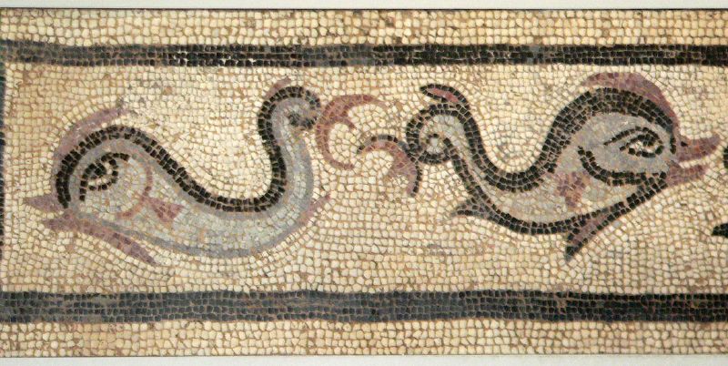 Dolphin Ancient Roman Mosaics Pompeii