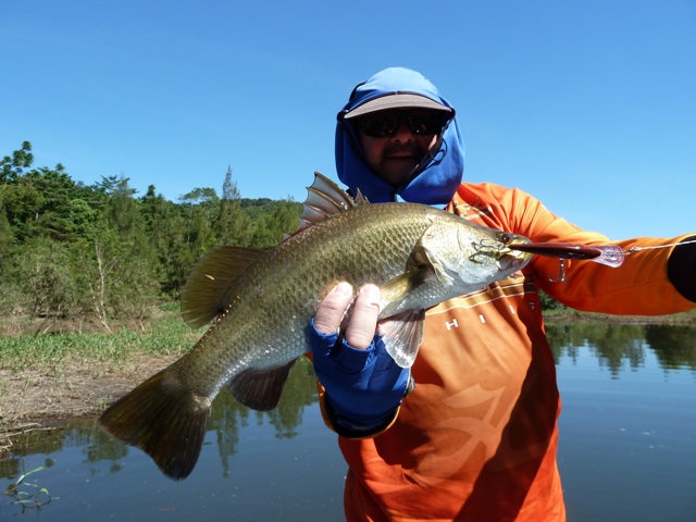 Fishing Cairns: I've Been Busy OK!