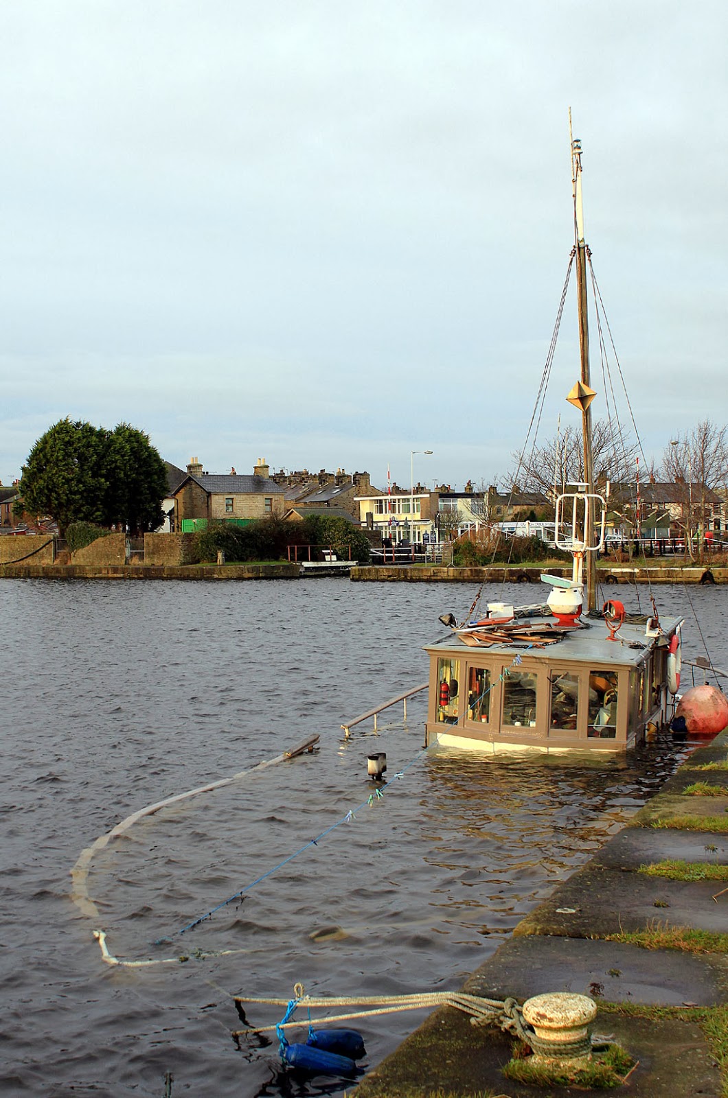 Another Bird Blog: After The Storms