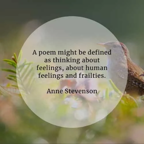 50 Poetry quotes that will inspire your mind and soul