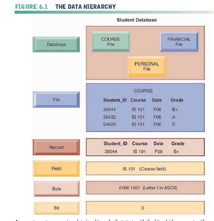 Organizing data in a traditional file environment