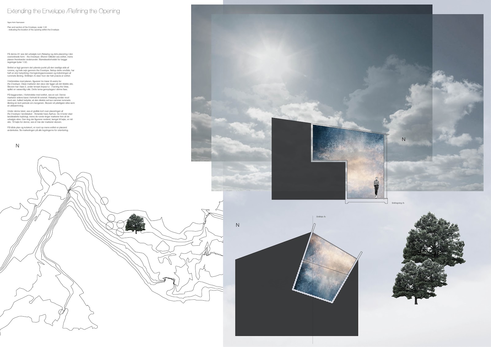 Signe Holm Rasmussen