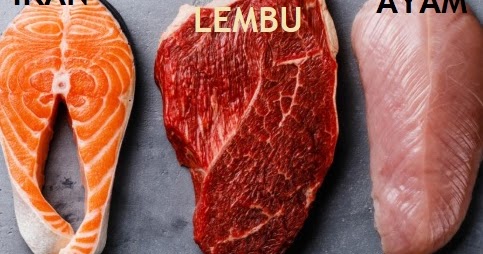 Anim Agro Technology: DAGING MERAH VS PUTIH - APA DIA? (Part 2)