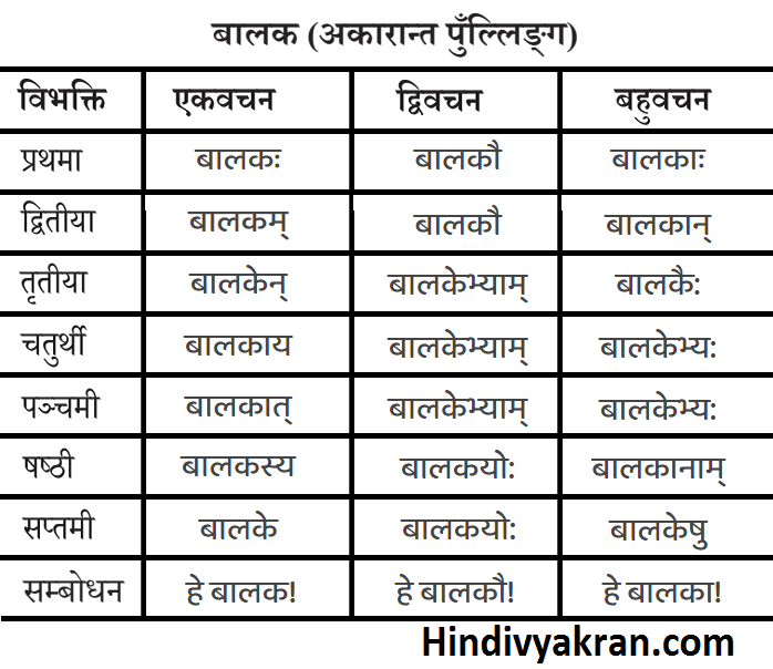 बालक शब्द रूप संस्कृत में – Balak Shabd Roop In Sanskrit | HindiVyakran