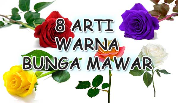8 Arti Warna Bunga Mawar Yang Harus Kau Tahu - Ngeeneet 8 Arti Warna Bunga Mawar Yang Harus Kau Tahu - Ngeeneet