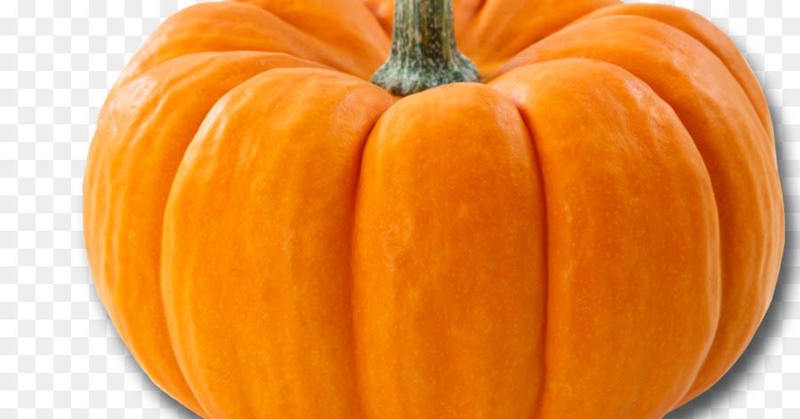 En Savoir Culinaire : Ragam Jenis Labu