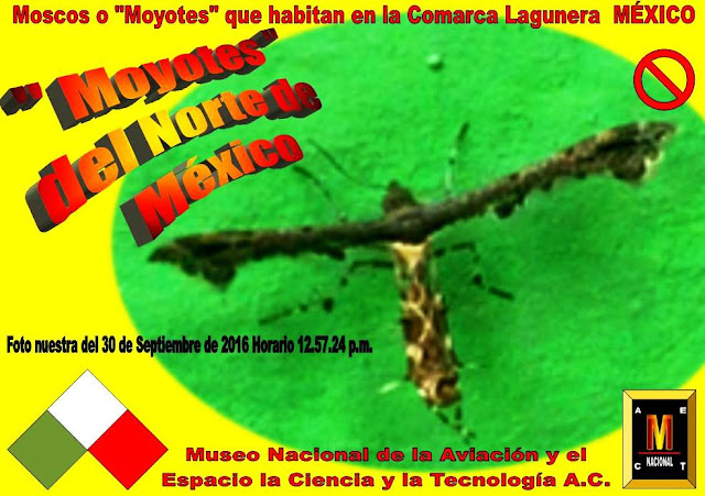 MUSEO NACIONAL DE LA AVIACIÓN Y EL ESPACIO, LA CIENCIA Y LA TECNOLOGÍA ...