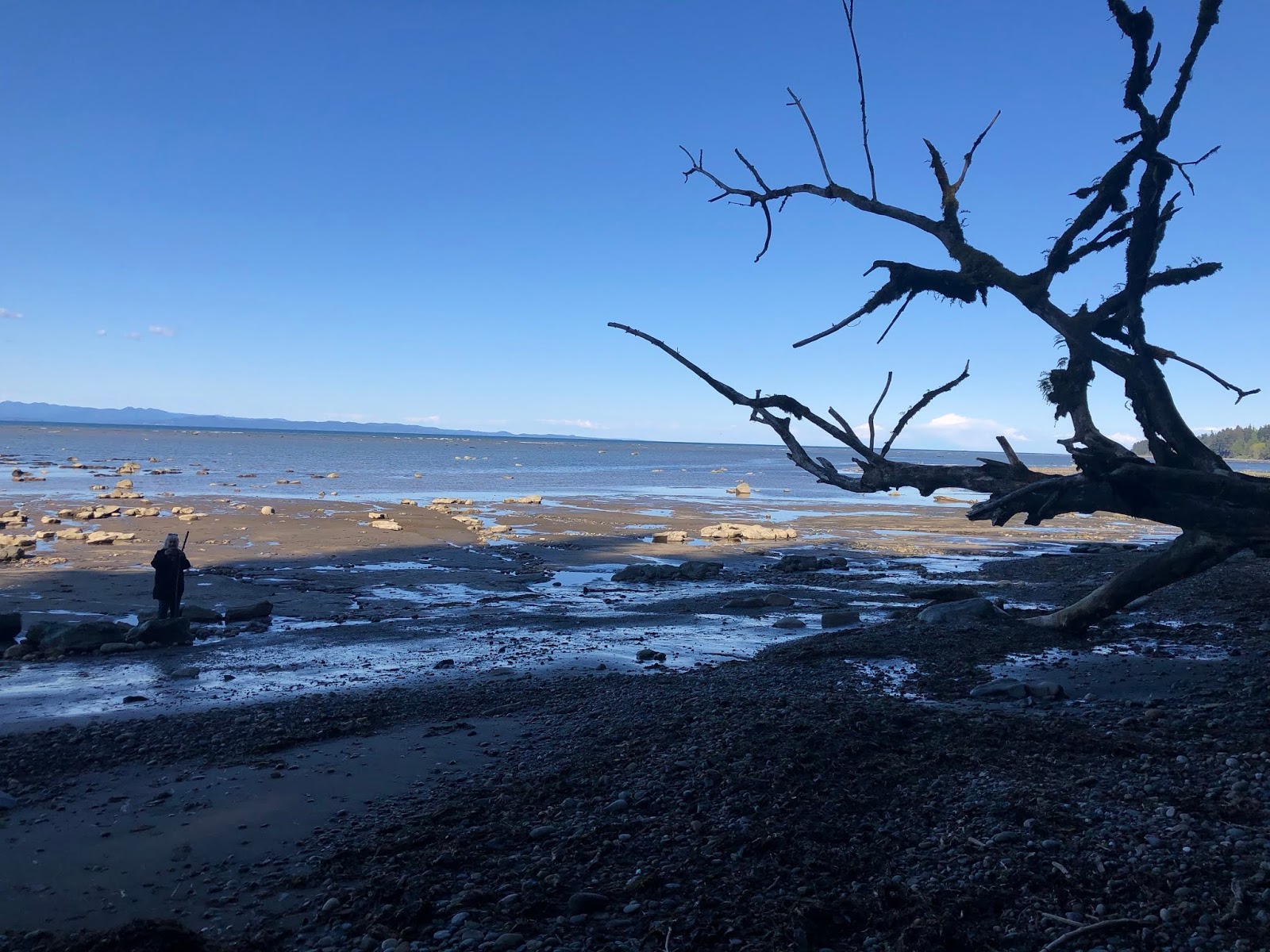 The Rhythm of My Story: Hurricane Ridge to Murdoch Beach