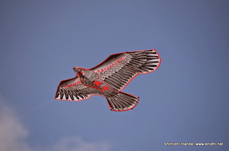 Mysuru Dasara kite flying competition 2014 - eNidhi India Travel Blog