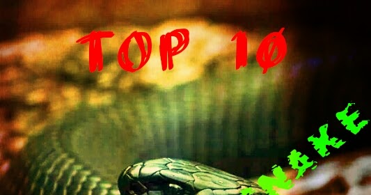 Top 10 deadliest venomous snake of world - Hun