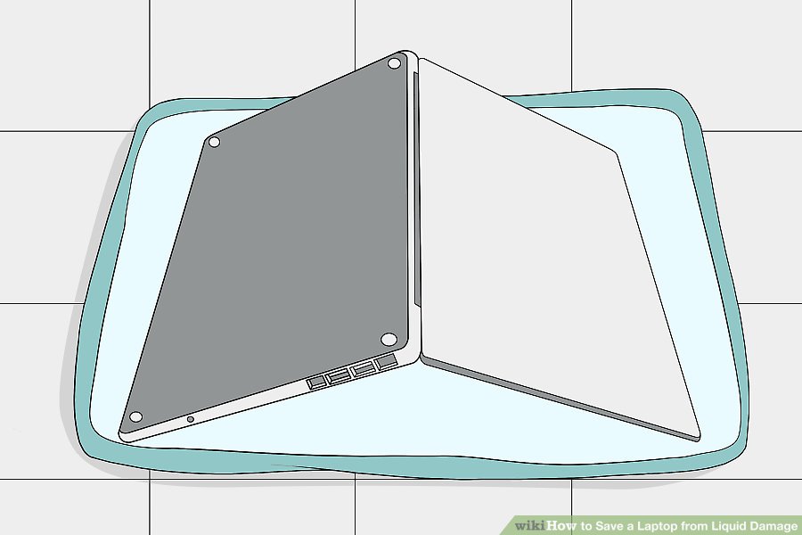 bagustris@/home: 2019