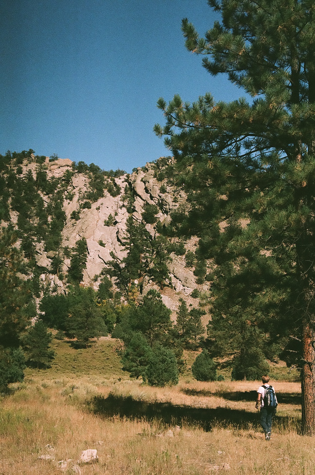 Southern New Mexico Explorer: Datil Mountains - Cibola National Forest