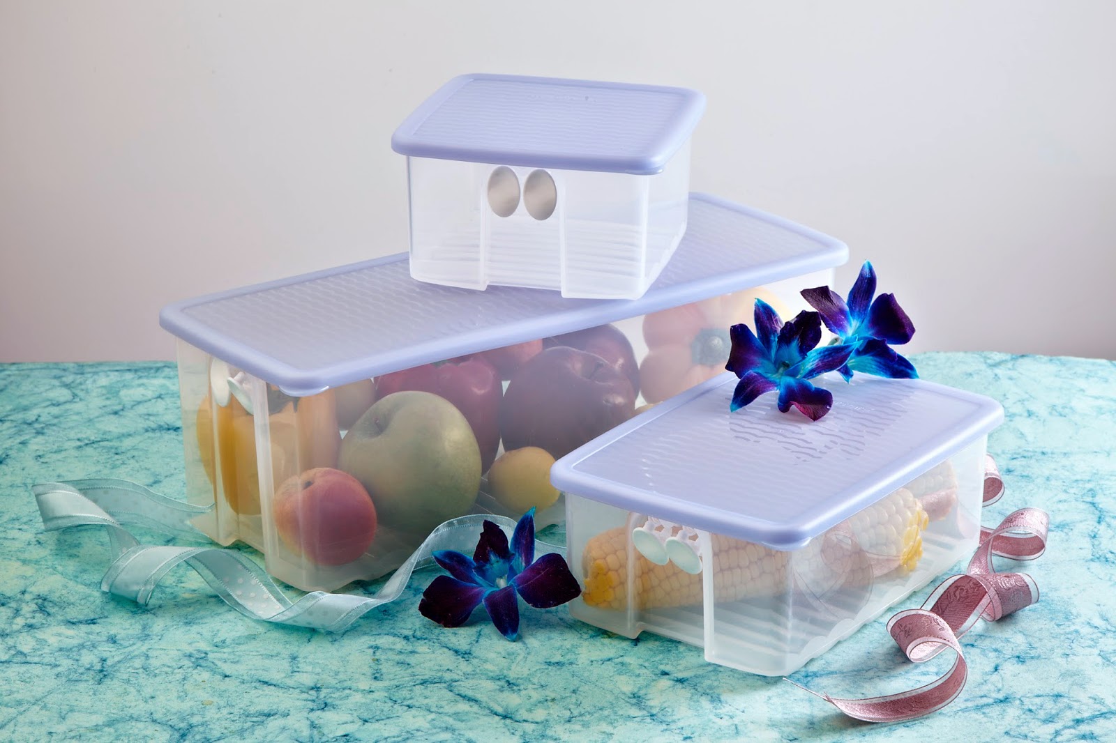 Indian Food Blogger's Meet 2014: Meet Our Sponsors - Tupperware India ...