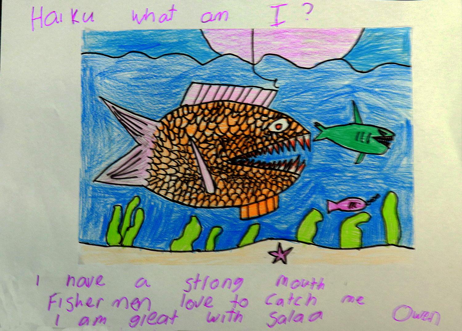 Rotorua Artist Janet Keen's Photography, Mosaics, Paintings & Writing ...