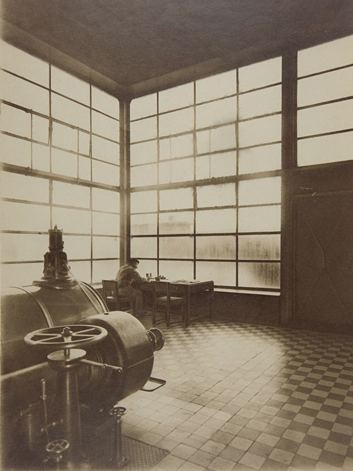 Let's keep it wild.: Fagus factory