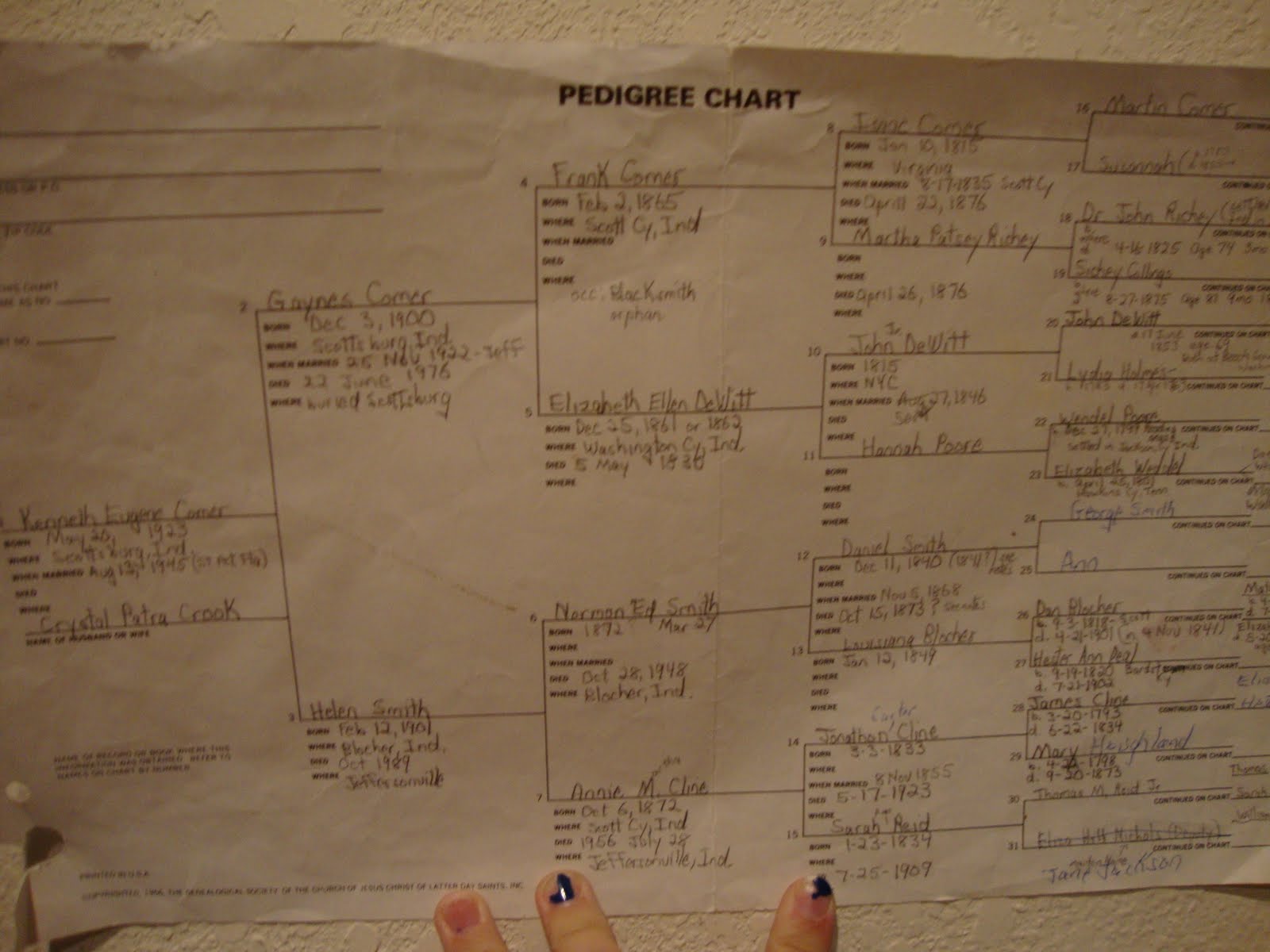 Living History Journal: The Comer Family Tree