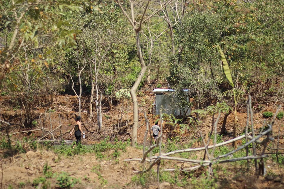 Organic farm in Goa needs volunteers -WWOOF in India - Voluntouring.org