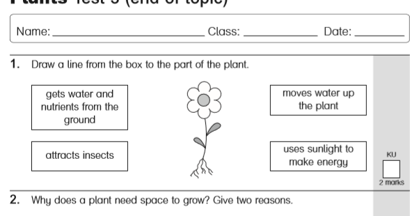 Year 3: Science - Plant Quiz 1