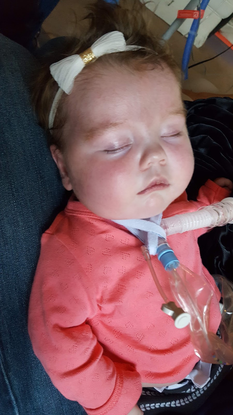 A Heartfelt Story : Chunk-a-Munk