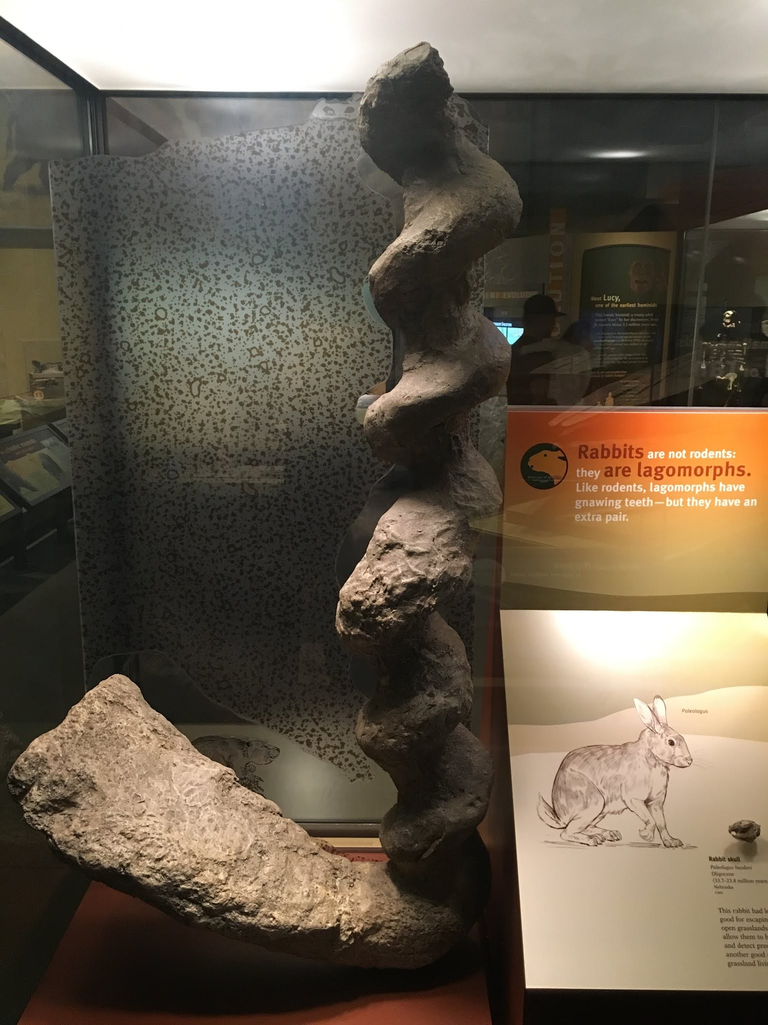 The Geology P.A.G.E.: Paleo in Pop Culture - Mammals, Pterosaurs, and ...